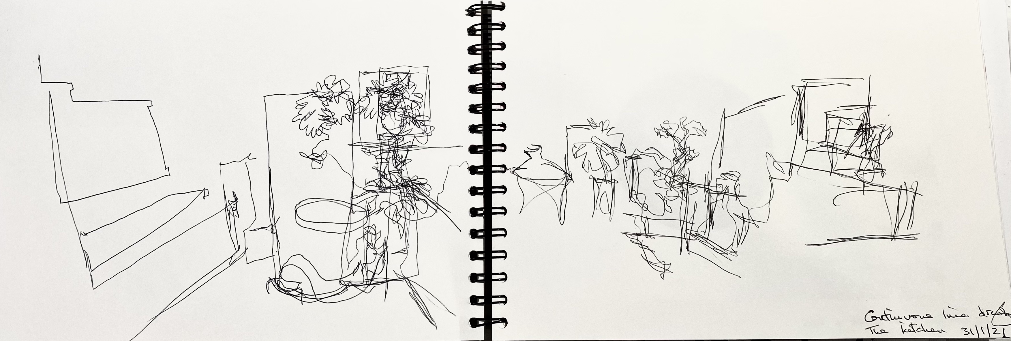 Drawing Without Looking – judy harington